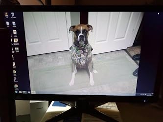 Amazon.com: Acer G236HL Bbd 23-Inch Screen LED-Lit Monitor : Electronics