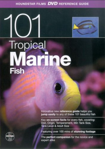 Amazon.com: 101 Tropical Marine Fish [DVD] : Movies & TV
