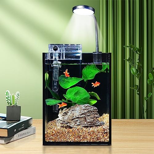 10 Must-Have Saltwater Fish Tank Setup Kits: Your Ultimate Guide to ...