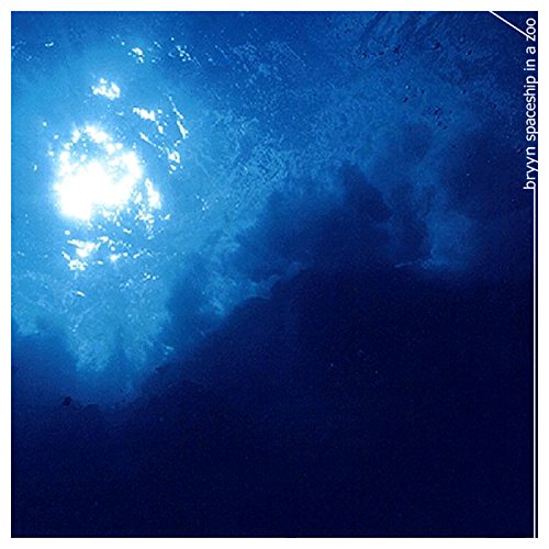 Amazon MusicでBryynのSpaceship in a Zooを再生する