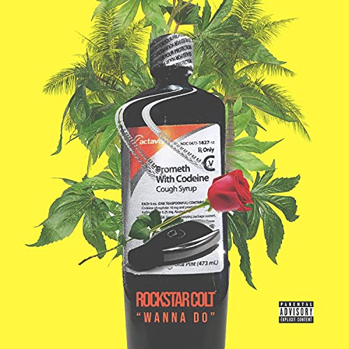 Wanna Do de Rockstar Colt en Amazon Music Unlimited