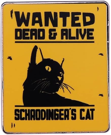 Amazon.com: Schrodinger Cat Enamel Lapel Pin Quantum Badge Brooch For ...