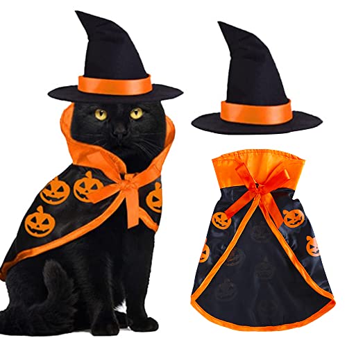 10 purrfectly grumpy Halloween costumes for feline friends: Your guide ...