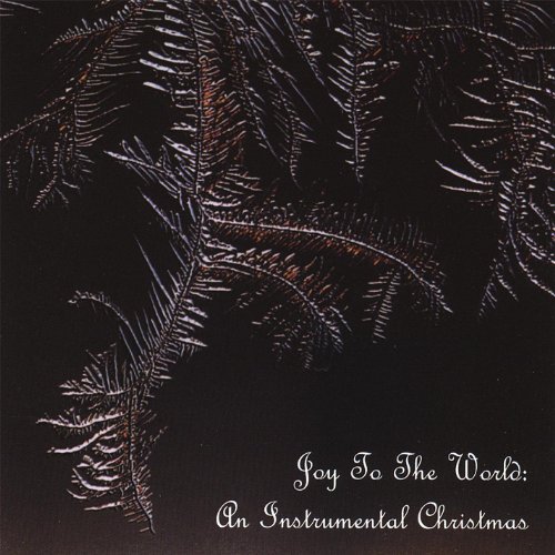 Amazon.com: Joy To The World: An Instrumental Christmas : Danny Taddei ...