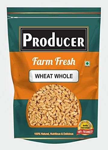 Green World Pusa HD-3226 Wheat Seeds for Agriculture & Farming (250 Gms ...