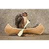 Amazon.com: Canoeing Rowing Squirrel Taxidermy Statue on Base : Home ...