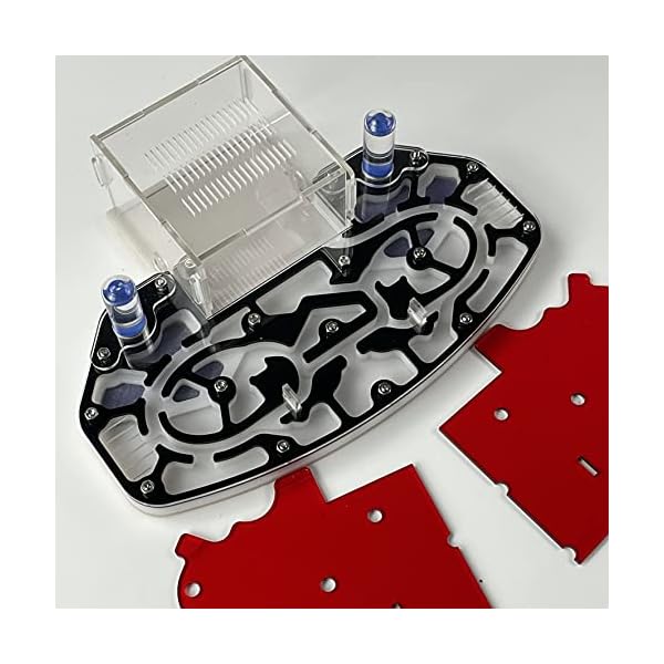 awagas Ecological Ant Nest Farm, Ant Castle Ant Formicarium ...