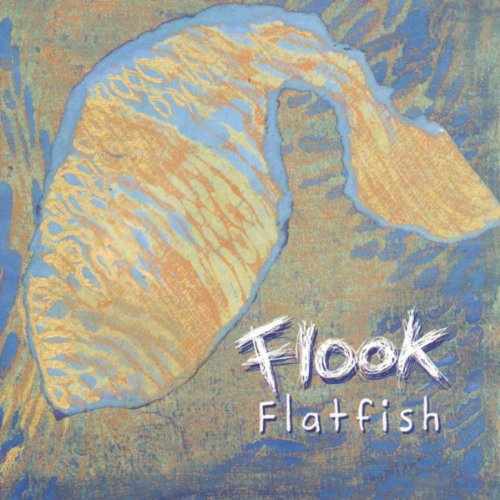 Flatfish : Flook: Amazon.de