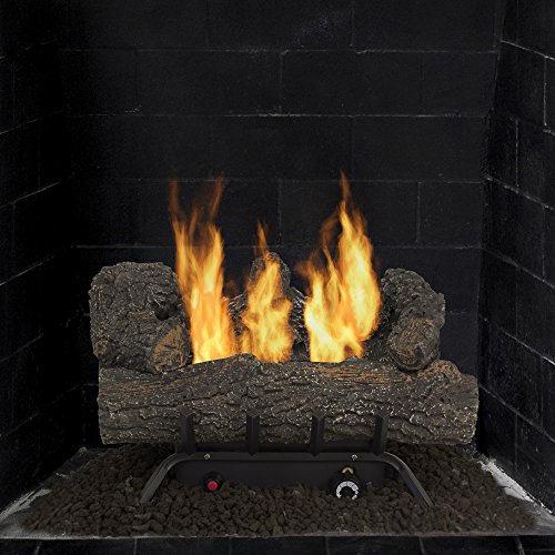 The 29 Best Gas Logs with Remote of 2025 [Verified] - Cherry Picks