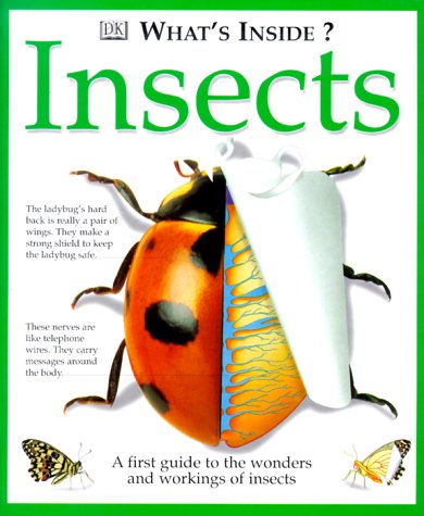 Amazon | Insects (What's Inside?) | Bugs & Spiders