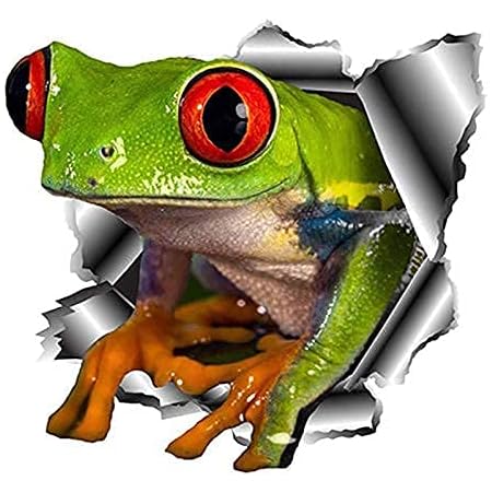 Amazon.com: Tree Frog Sticker Colorful Decal by Megan J Designs ...