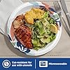 Amazon.com: Dixie Large Paper Plates, 10 Inch, 204 Count, 2X Stronger ...