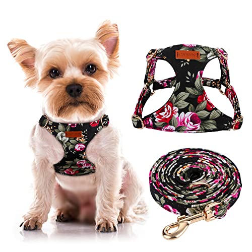 Soft Dog Harness – The 15 best products compared - Wild Explained