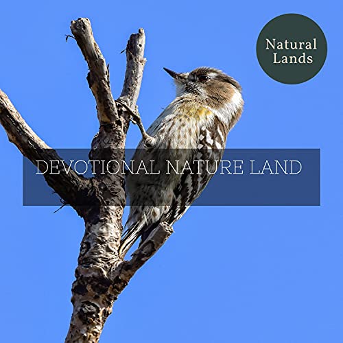 Amazon Music - VARIOUS ARTISTSのDevotional Nature Land - Amazon.co.jp