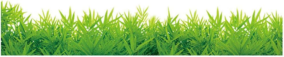 Amazon.com: DNVEN Border 52 inches x 10 inches Pack of 5 Fresh Green ...
