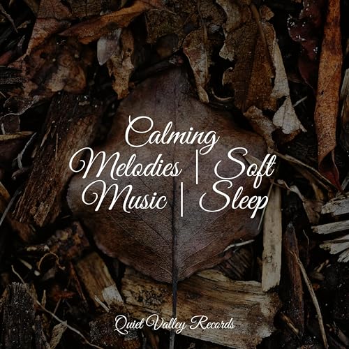 Play Calming Melodies | Soft Music | Sleep by Relaxation Personal Guru ...