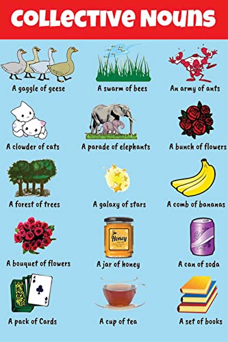 Kids Educational Poster For Wall|Collective Nouns|Kids Poster|Unframed ...