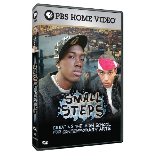 Amazon.com: Small Steps: Creating the High School for Contemporary Arts ...