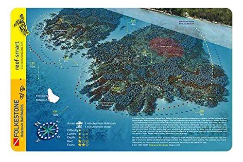 Folkestone Reef Barbados Waterproof Dive & Fish Card: Reef Smart ...