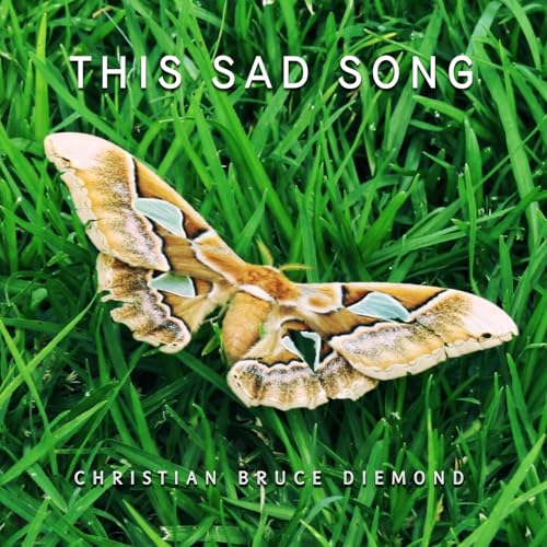 Play This Sad Song by Christian Bruce Diemond on Amazon Music