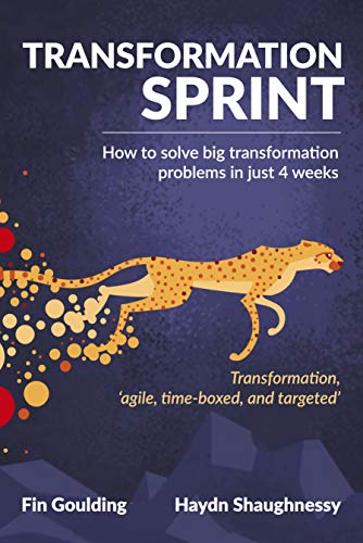 Transformation Sprint: How to fix big transformation problems in just 4 ...