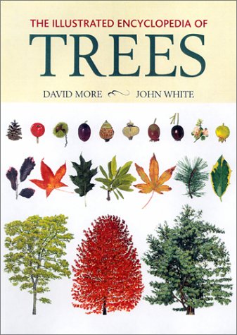 The Illustrated Encyclopedia of Trees: More, David & John White ...