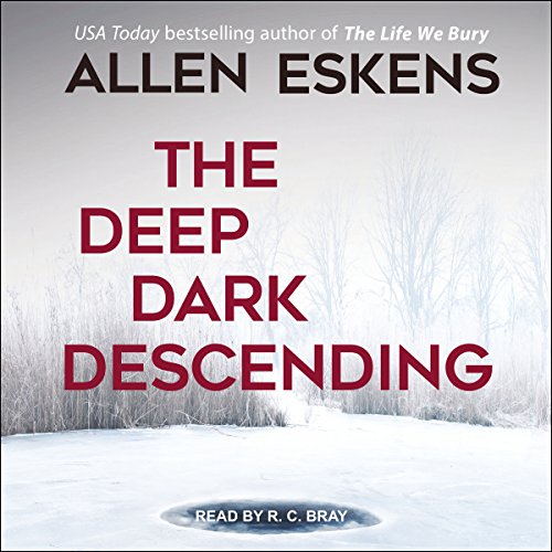 Amazon.com: The Deep Dark Descending (Audible Audio Edition): Allen ...