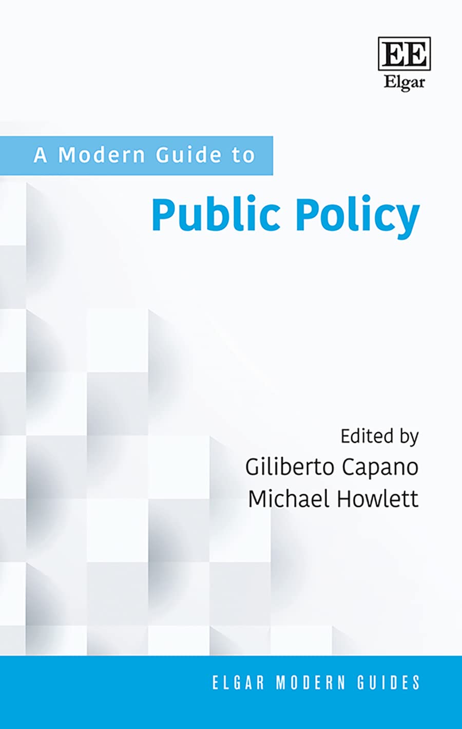 A Modern Guide to Public Policy (Elgar Modern Guides): Capano ...