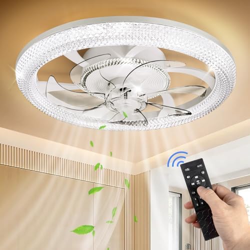 Ceiling Fans with Lights and Remote, Ceiling Fan Flush Mount 20 inch ...