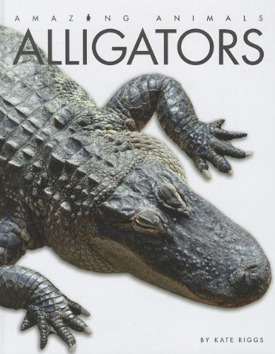 Alligators (Amazing Animals): Riggs, Kate: 9781608181049: Amazon.com: Books