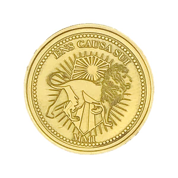 Amazon.com: John Wick Coin, Wick Coin, Continental Hotel Coin, Fantasy ...