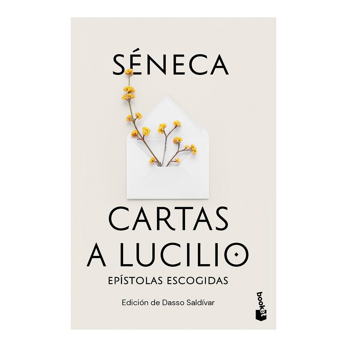 Cartas a Lucilio : Séneca: Amazon.com.mx: Libros