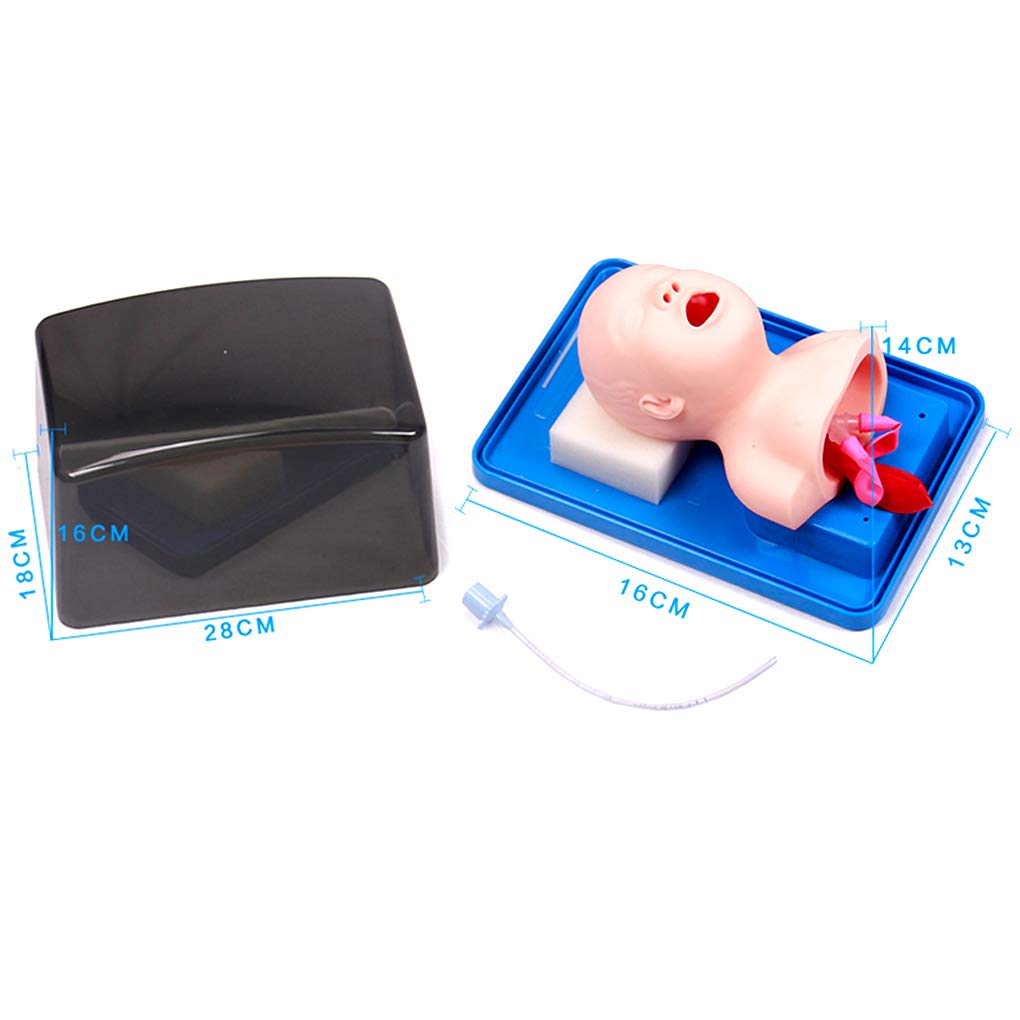 PVC Material Pediatric Intubation Manikin Study Teaching Baby Model ...