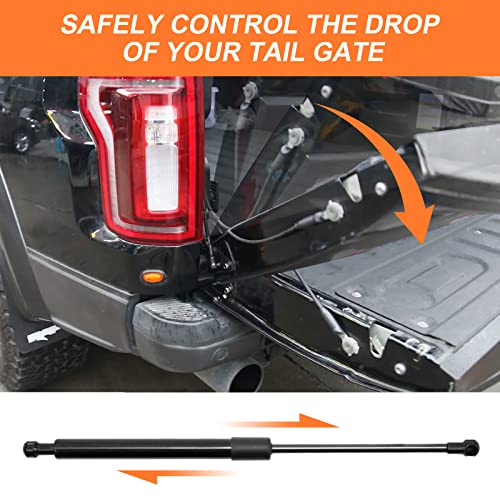 Snapklik.com : Tailgate Assist Shock For Ford F150 2015-2023, Truck ...