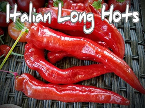 Amazon.com : (25+) Italian Long Hots Pepper Seeds : Patio, Lawn & Garden
