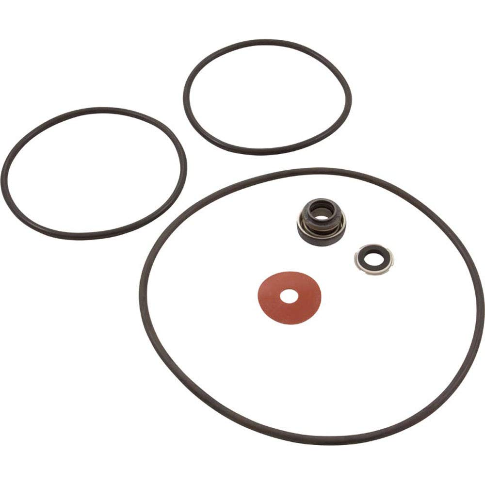 Amazon.com : Water Ace Repair Kit, RSP, Includes Seal & O-Rings : Patio ...