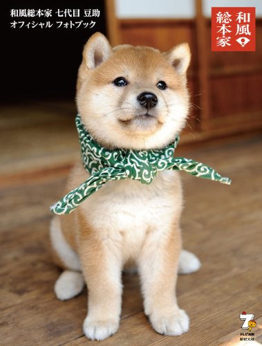 Amazon.com: Wafu Sohonke Nana-daime Mamesuke Official Photobook ...