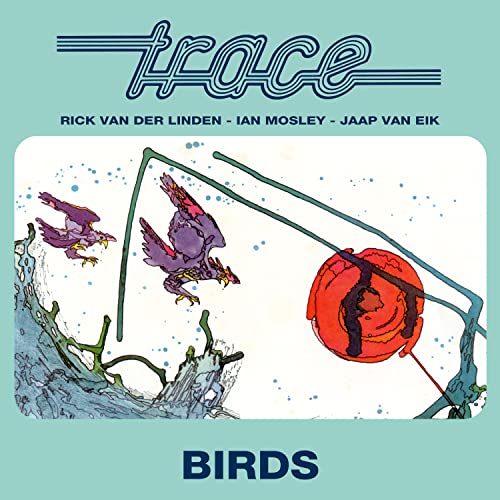 Amazon.com: Birds (expanded & remastered) : Trace / Rick van der Linden ...