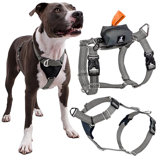 Dog Harness Types – The 15 best products compared - Wild Explained