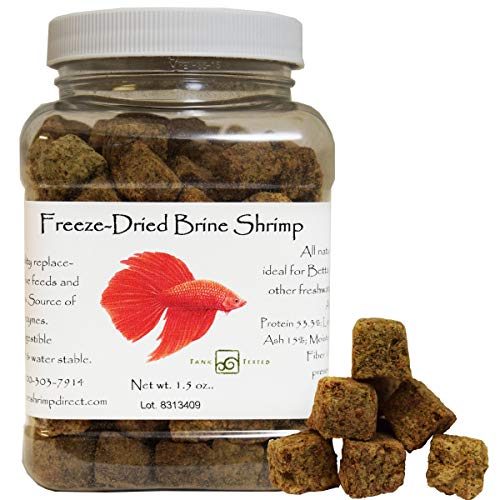 Top 10 Frozen Brine Shrimp Fish Foods: Your Guide to Buying the Best ...