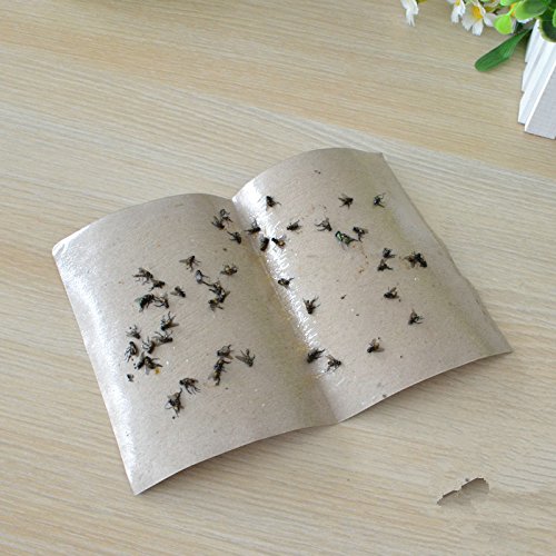 Buy Best Ever Strong Flypaper Sticky Fly Paper Flytrap Green Nontoxic ...