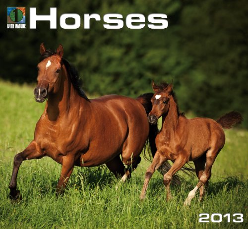 Horses 2013 Calendar: Zebra Publishing Corp.: 9781554565788: Amazon.com ...