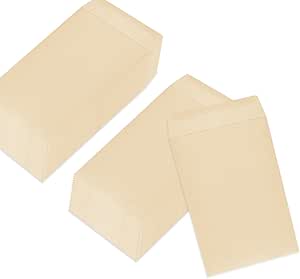 WELANE Mini Envelopes, 100 PCS Small Parts Kraft Paper Envelope for ...