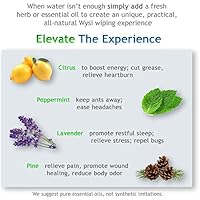 Amazon.com: WYSI Multi-Purpose Expandable Wipes, Just Add Water - 100 ...