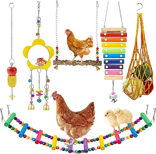 9 Best Chicken Toys for Happy Hens 2026
