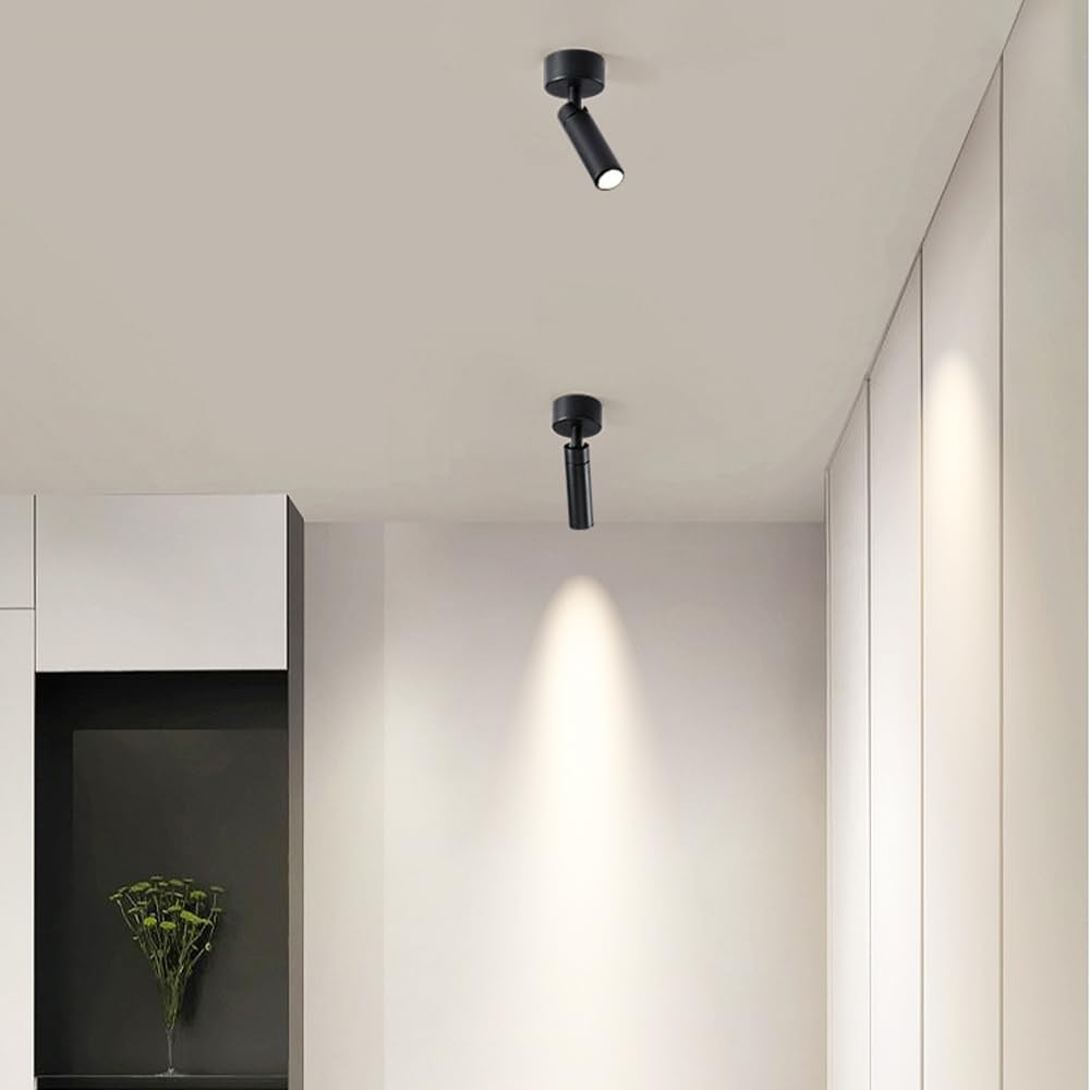 Ceiling Mounted Lights Pin