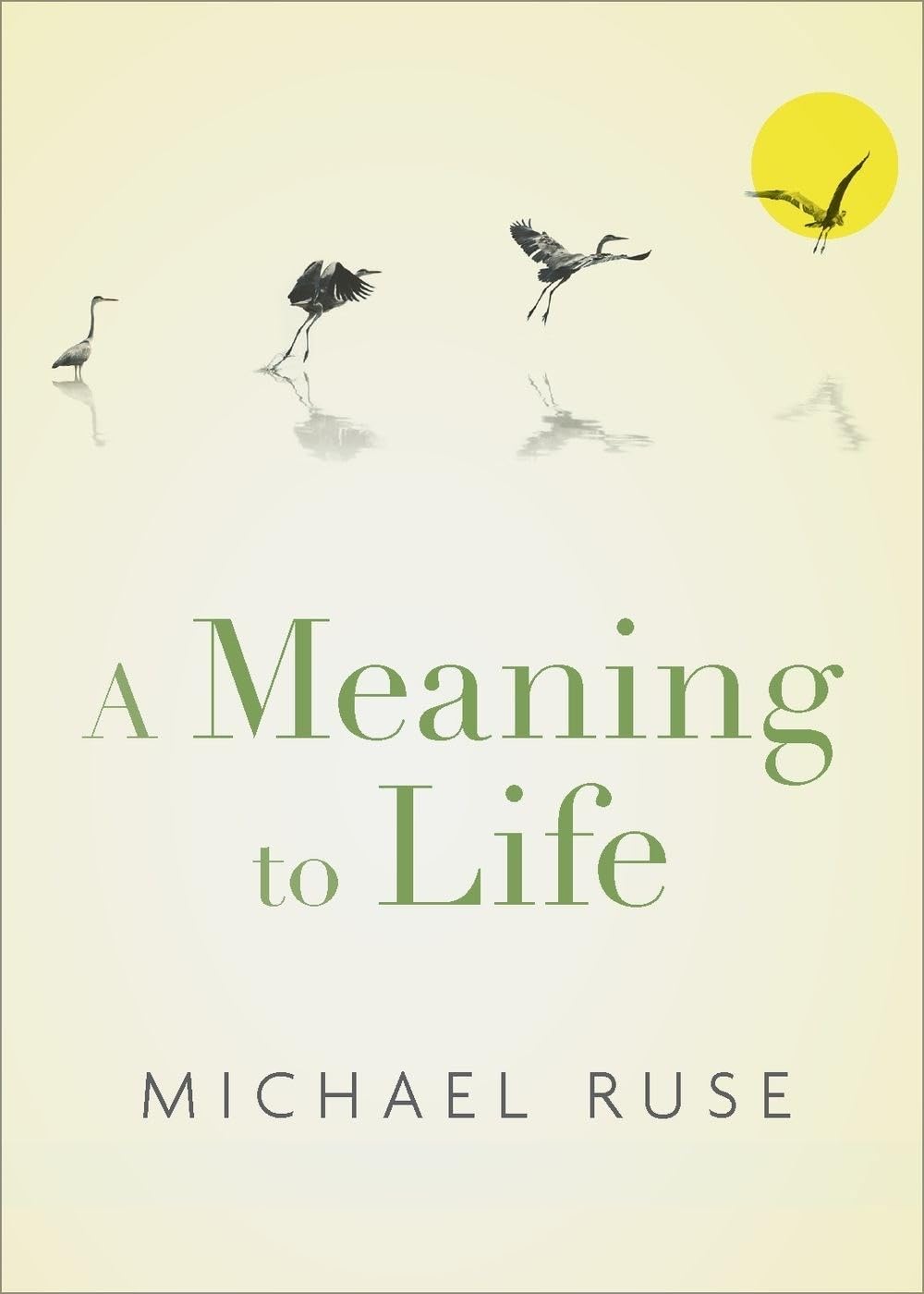 Ruse Meaning