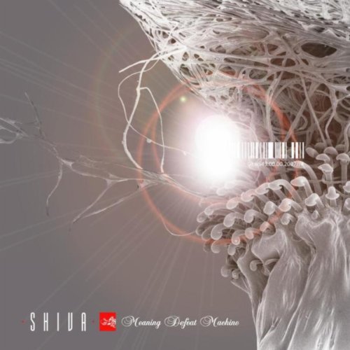 Amazon.com: Meaning Defeat Machine : Shiva: Digital Music