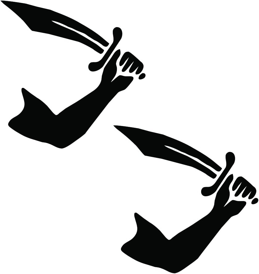 Amazon.com: Auto Vynamics - PPFS-JR10-6-GBLA - Gloss Black Vinyl Jolly ...