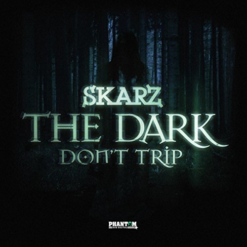 Amazon.com: The Dark : Skarz: Digital Music
